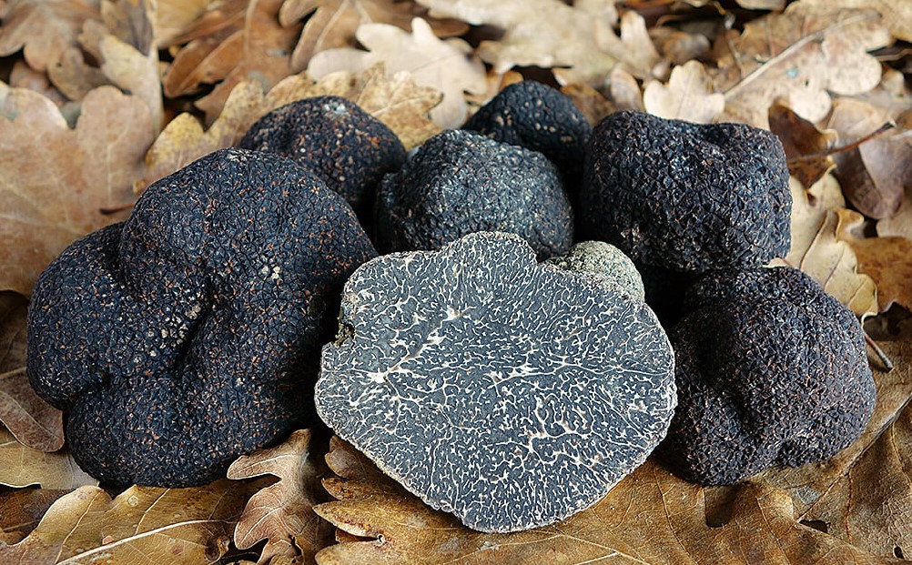 Recetas con trufa rallada que debes de probar - MejoresCocinas.com